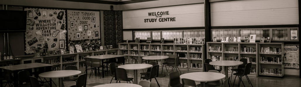 Transition – Bishop David Brown School